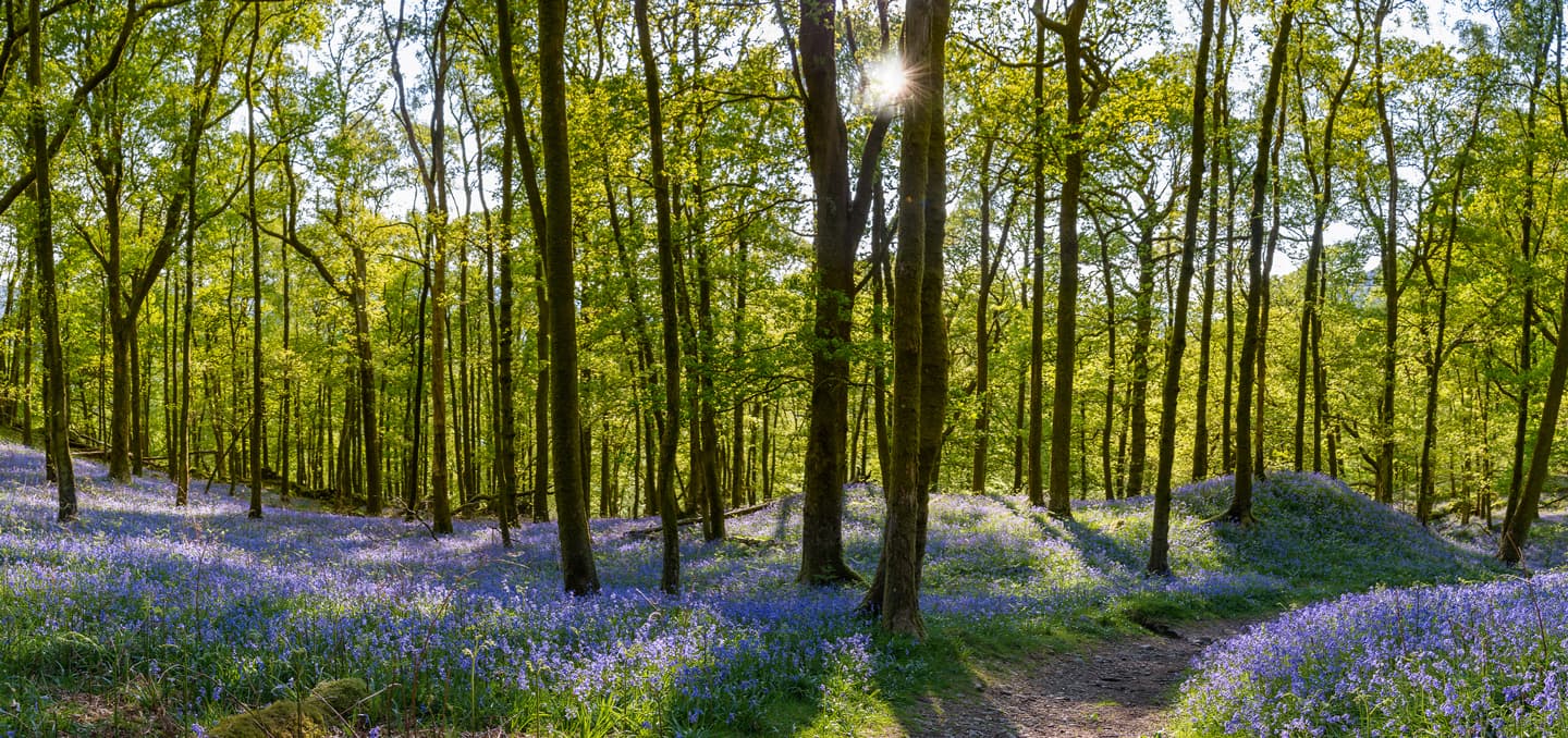 How Will Quiet Doers Save the Planet - PDV Agency